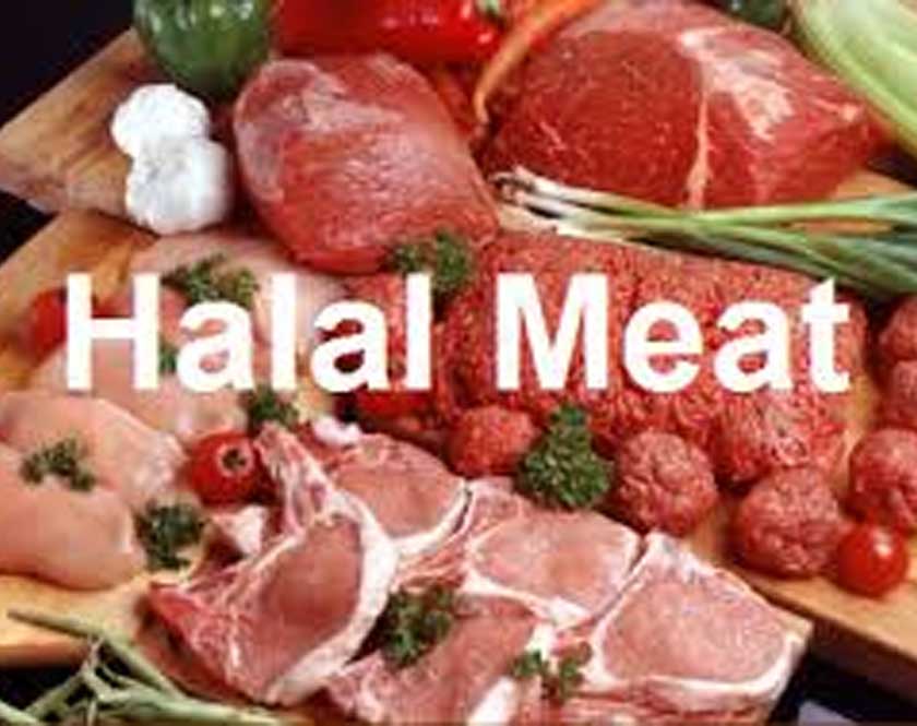 KALOTI INTERNATIONAL | MEAT WHOLESALE | MIAMI, FLORIDA, U.S.A.